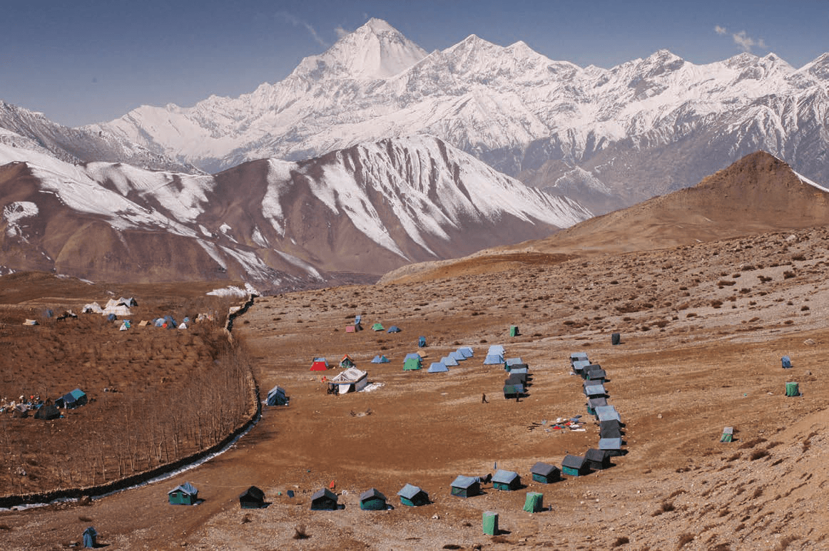 Catalysts of Change - Morph Magazine