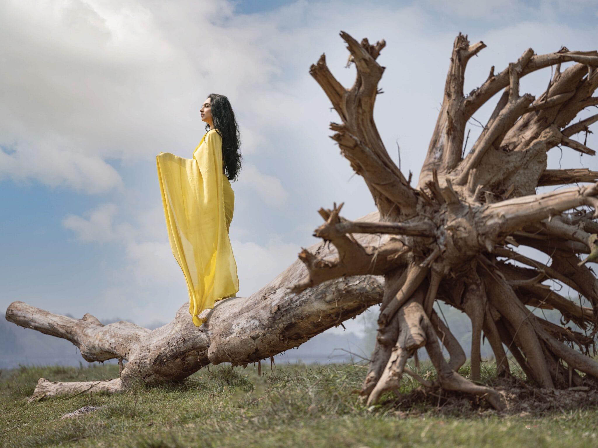 Tradition To Trendsetting - Morph Magazine