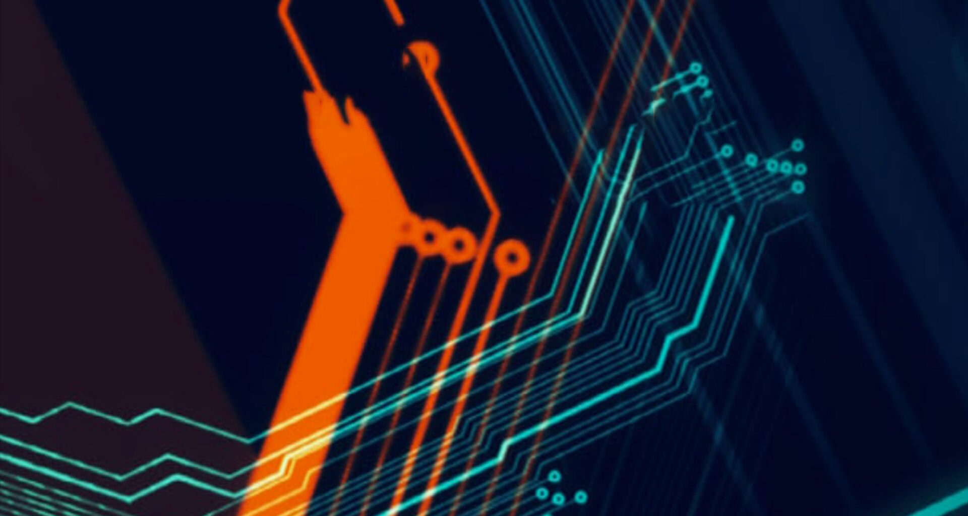 Digital Hygiene | Morph Magazine